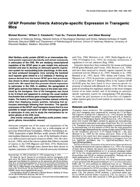Pdf Gfap Promoter Directs Astrocyte Specific Expression In Transgenic