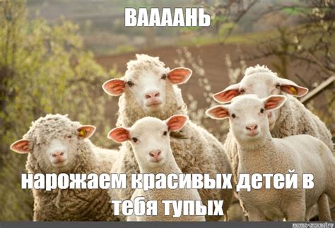 Создать мем бараны и овцы бараны стадо овца Картинки Meme