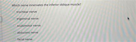 Solved Which Nerve Innervates The Inferior Oblique