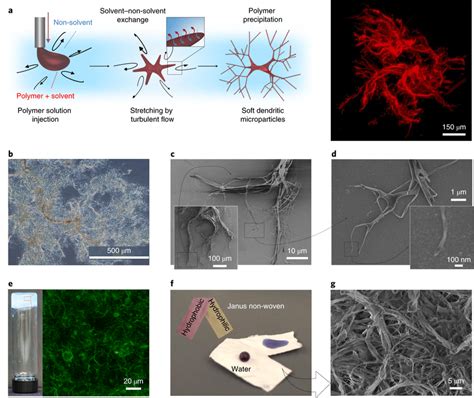 Fabrication And Properties Of Soft Dendritic Colloidal Download Scientific Diagram