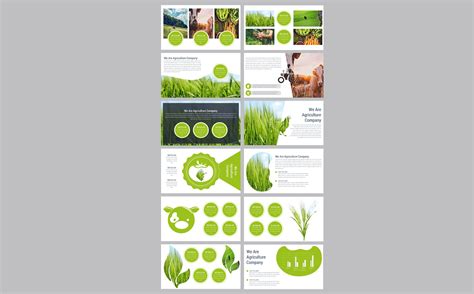 Agriculture PowerPoint Template 80756