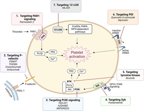 Antithrombotic Agents Kcj Korean Circulation Journal