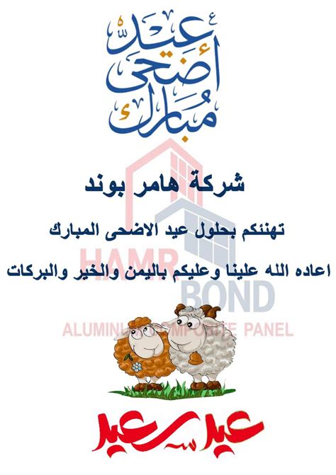 ‎كلادينج هامر بوند كلادينج هامر بوند Hamrbond