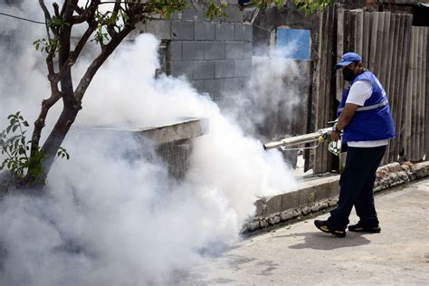 Super Mosquitoes Have Now Mutated To Withstand Insecticides