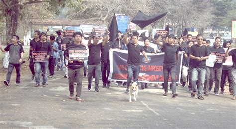 Apcc Rgu Nerist Protest Pm Visit Burn Modis Effigies The