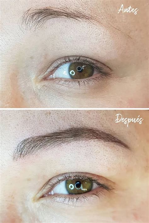 Microblading Vs Microshading Qué Método Elegir Para Lograr Cejas Con