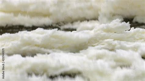 Bleaching Wood Pulp Mean At Scott Gerber Blog