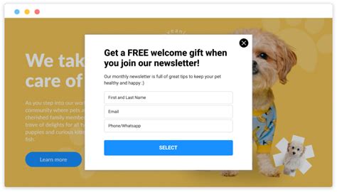 How To Use Handshake Diib® Learn