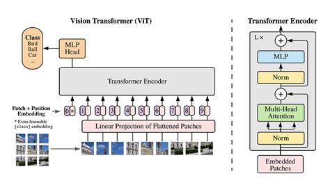 용어 정리 모델 경량화 Vit Transformer Gpt Bert