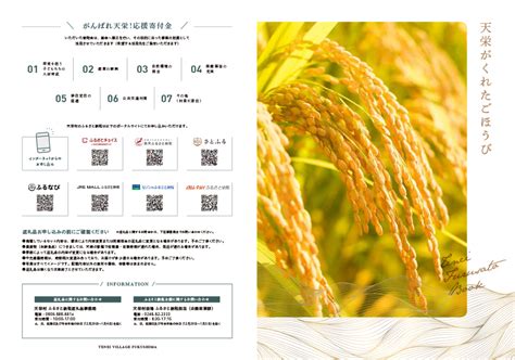 ふるさと納税株式会社インサイト