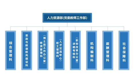 机构设置 西南交通大学人力资源部