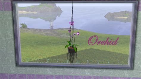 The Sims Resource Plant Orchid