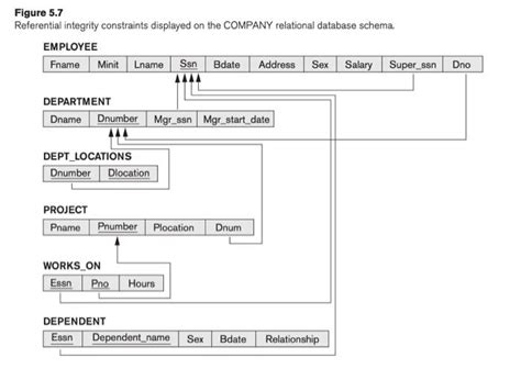 Solved 818 Consider The Library Relational Database Schema