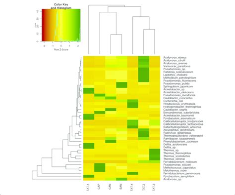 Heatmap Showing Relative Abundance Of Species Species With ≥ 5 Download Scientific Diagram