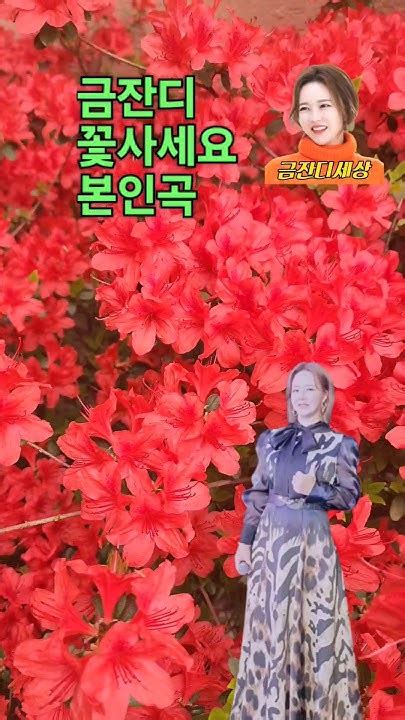 금잔디 꽃사세요 본인곡쇼츠 연산홍꽃 240409편집 Youtube