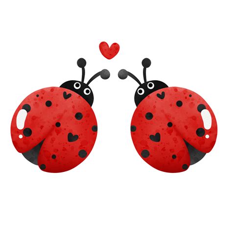 Cute Lady Bug 25174469 Png