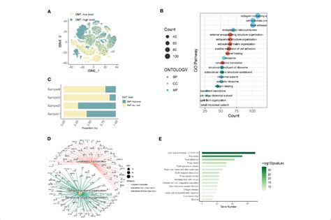 Expression Annotation And Biological Pathway Enrichment Analysis Of