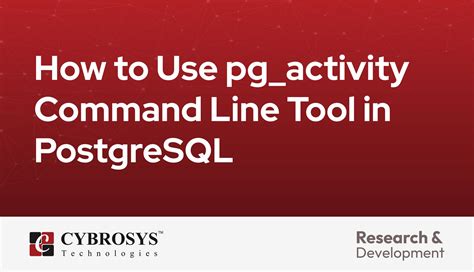 How To Use Pgactivity Command Line Tool In Postgresql