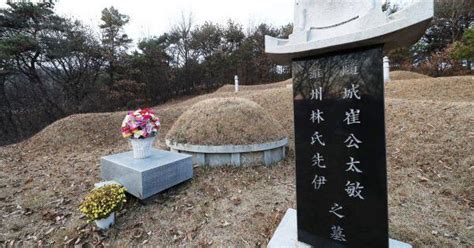 용인시 최태민 가족묘 불법 조성 확인이전 및 원상복구 명령