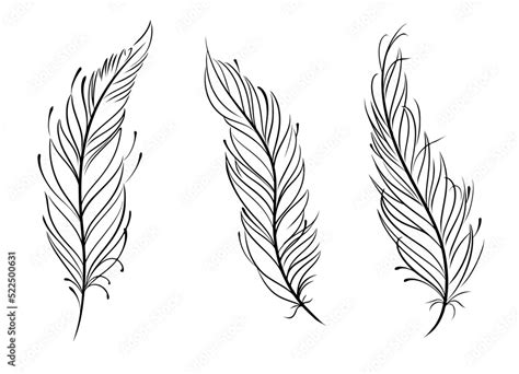 3 Simple Feather Outline Svg Vector Black And White Line Art Stock