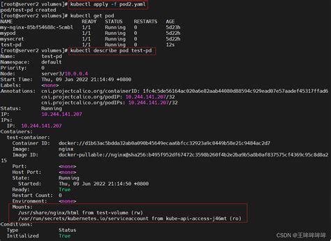 K8s——12、存储临时卷、永久卷pod内的临时文件 Csdn博客