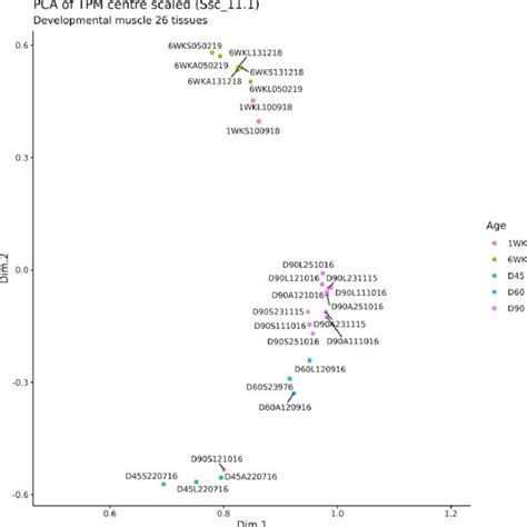 Principal Component Analysis Pca Of Gene Expression Estimates As