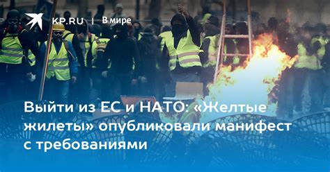 Выйти из ЕС и НАТО «Желтые жилеты опубликовали манифест с требованиями Kp Ru