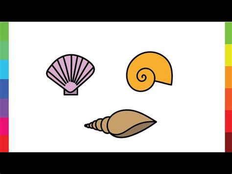 How To Draw A Seashell