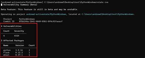 Common Vulnerability Exposures CVE ActiveState Platform Documentation