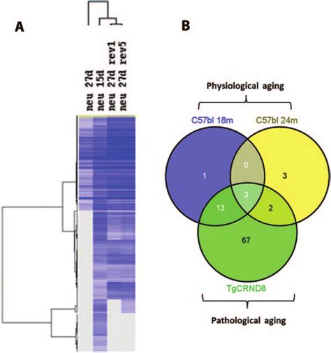 panel a unsupervised hierarchical clustering of microrna mirna
