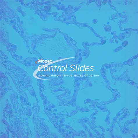 Control Slides Normal Human Tissue Ovarian Serous Adenocarcinoma
