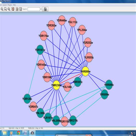 Sub Graph G´pg´p Of Protein Pair Ymr236w Yhr099w And Its Level 1 Neighbor Download