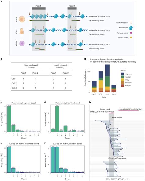 Uniform Quantification Of Single Nucleus Atac Seq Data With Paired Insertion Counting Pic And