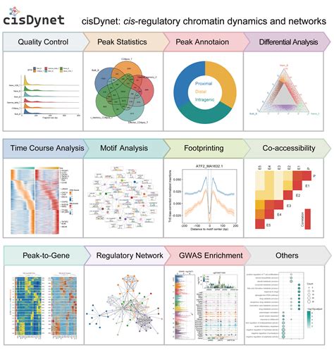 An Integrated Package For Modeling Gene Regulatory Dynamics And