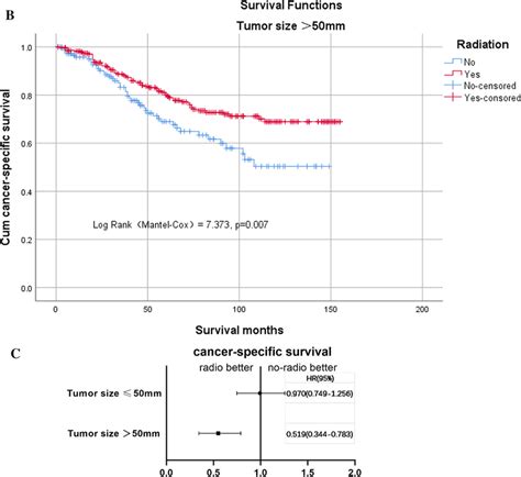 B Kaplan Meier Curves For Cancer Specific Survival Css Between Radio Download Scientific