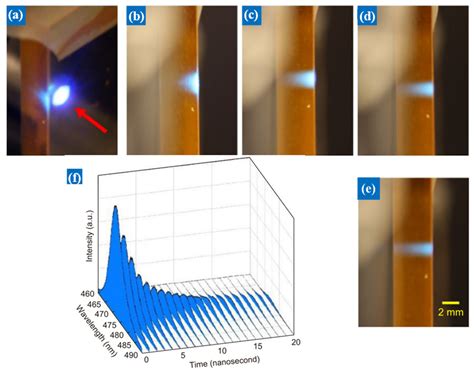 Nanomaterials Free Full Text Nonlinear Optical Microscopy And Plasmon Enhancement