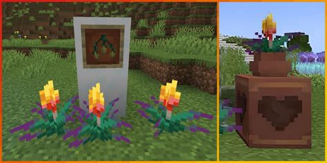 Minecraft How To Grow And Use The Torchflower