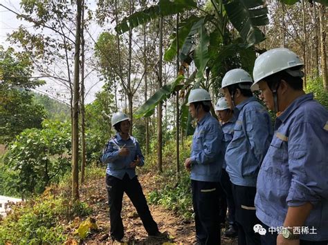 【新闻】中铝集团副总经理刘建平到崇左督导安全环保工作公司