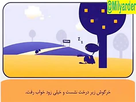 خرگوش و لاک پشت