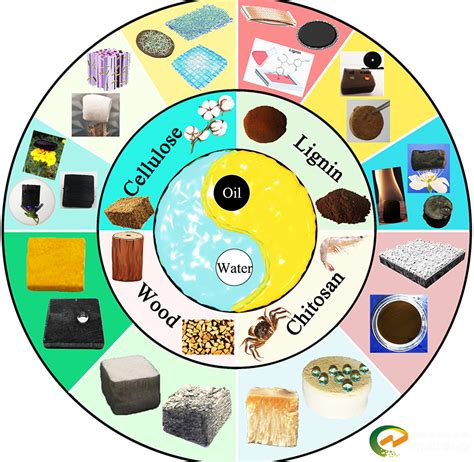 我校师生在国际权威期刊《separation And Purification Technology》上发表综述文章 内蒙古农业大学