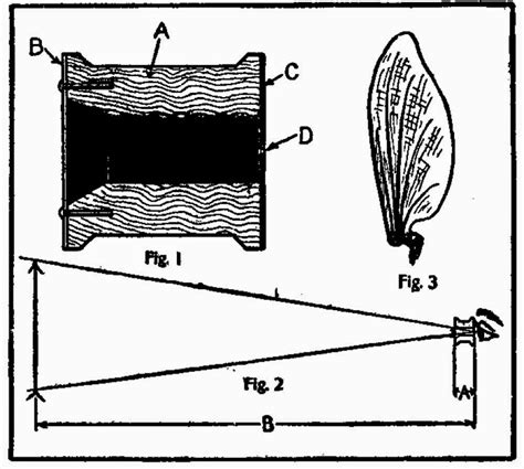 Lensless Microscope How To Make A Microscope Without A Lens Diy Projects