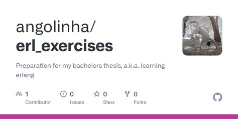 GitHub Angolinha Erl Exercises Preparation For My Bachelors Thesis