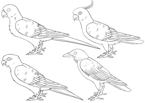 Bird Bases F2u By Cairinaadoptables On Deviantart