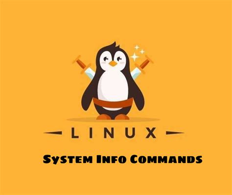 Top Linux Commands Cho Lập Trình Viên 1