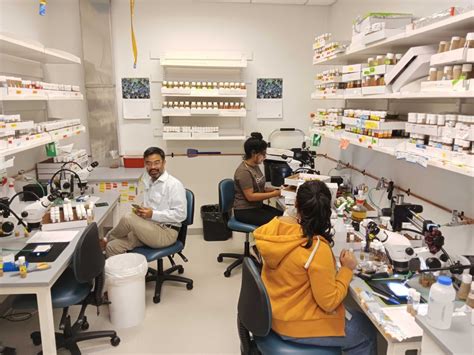 Bidaye Lab Max Planck Florida Institute For Neuroscience