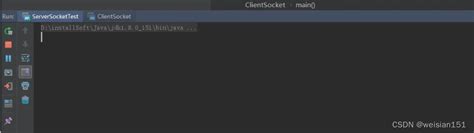 Socket Csdn