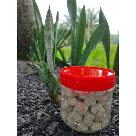 Biskut Batang Buruk Legend Homemade Shopee Malaysia