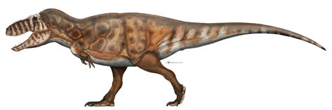 Tarbosaurus Asias King Of The Dinosaurs Dino World
