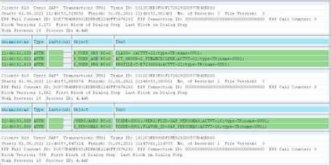 Sap Security Troubleshooting Authorization Errors