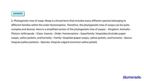 Solved What Is The Phylogenetic Tree Of The Honey Bee